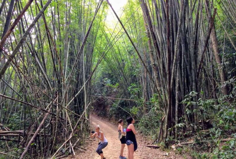 From Krabi: 2-Day Khao Sok Jungle Safari with Overnight Stay - What You Should Know Before Booking