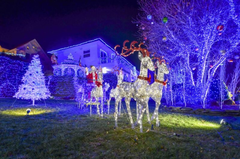 From Manhattan: 4-Hour Christmas Lights Luxury Bus Tour - Authentic Experiences and Real Traveler Insights
