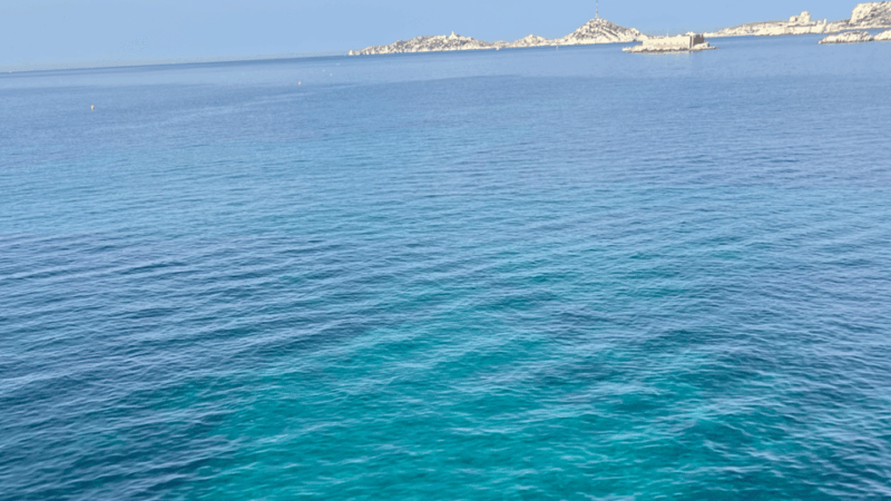 From Marseille to Cassis: a journey to the heart of the calanques and traditions. - Final Thoughts: Who Should Consider This Tour?