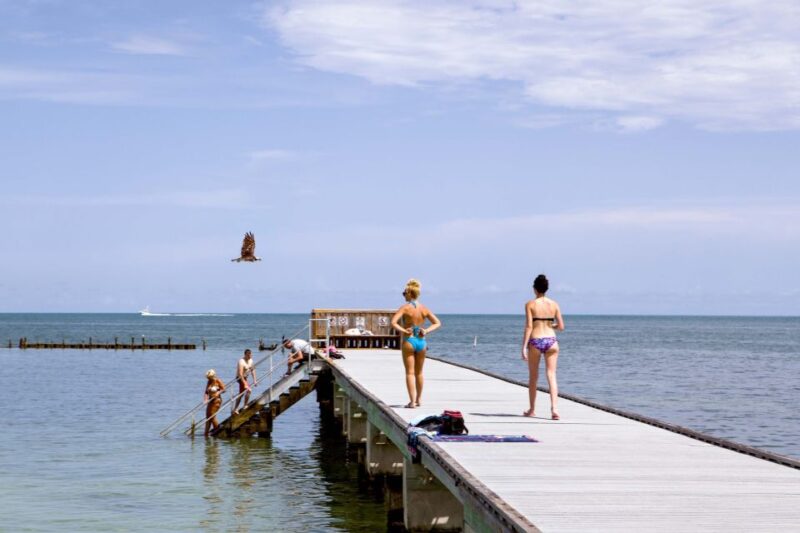 From Miami: Key West Day Tour by Motor Coach Bus - Authentic Experiences and Feedback from Travelers