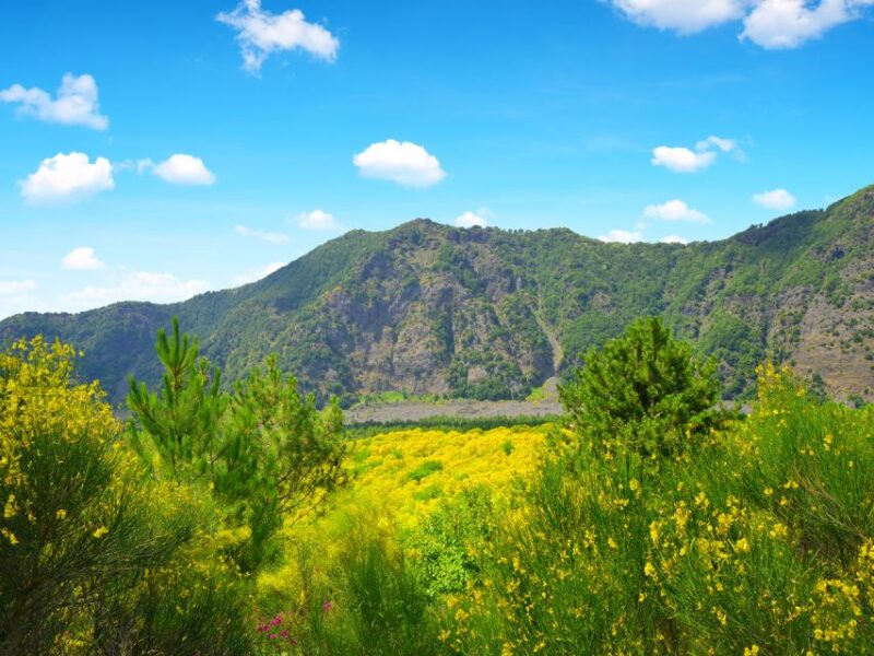 From Naples: Vesuvius & Pompeii with Transfer & Audio Guide - Who Should Take This Tour?