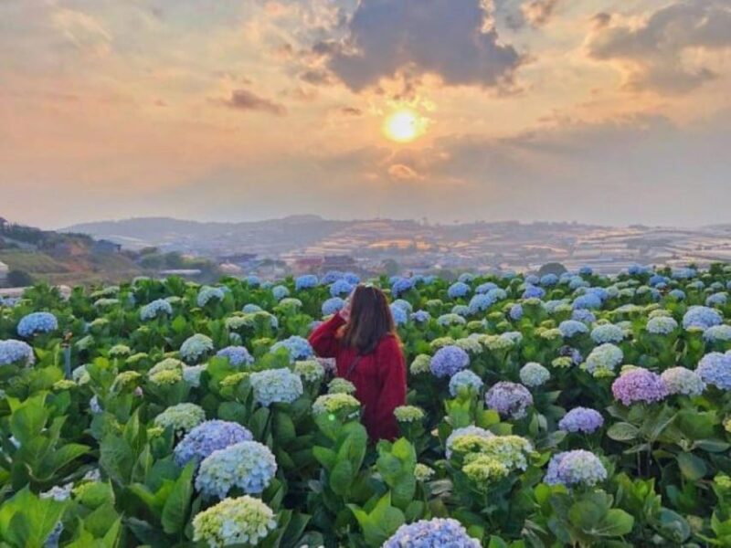From Nha Trang: Visit Da Lat 1 Day - Who Is This Tour Best For?