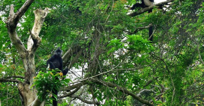 From Ninh Binh Small Group Discover Cuc Phuong National Park - What’s Included and What’s Not