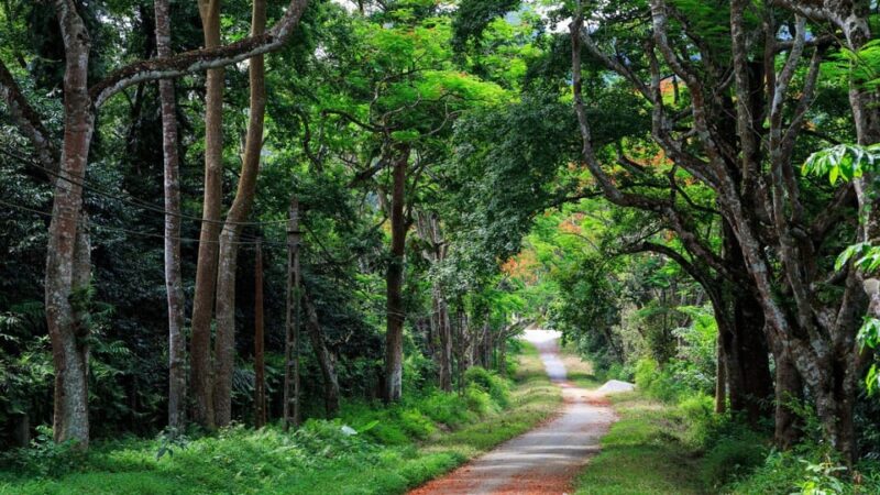 From Ninh Binh: Visit Cuc Phuong National Park - Van Long - Authentic Perspectives from Past Travelers
