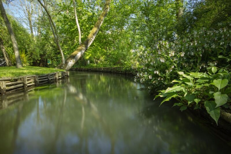 From Paris: Monet Garden & Giverny Bike Tour and Picnic Stop - Challenges and Considerations