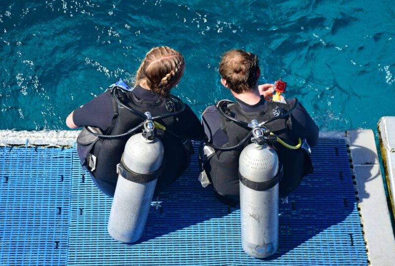From Pattaya: Snorkeling or Beginner Scuba Diving Tour - The Marine Sites: What You Might Encounter