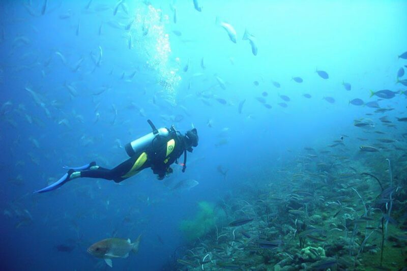 From Phuket: 3-Day SSI/PADI Open Water Diver Certification - Reflecting on the Value for Money