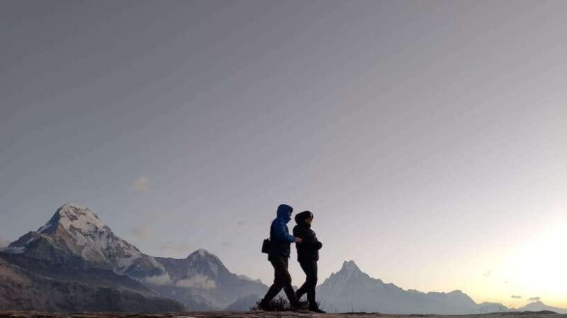 From Pokhara: A 7-Day Trek to the Heart of the Himalayas - The Bottom Line: Who Will Love This Trek