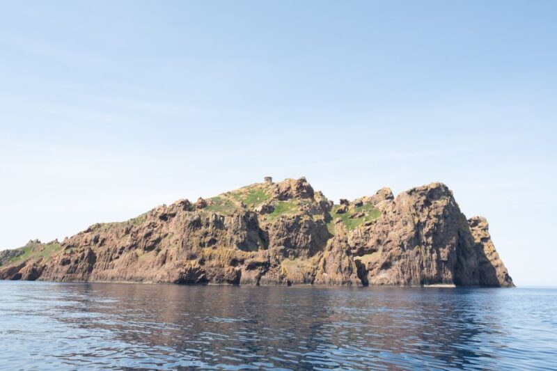 From Porto: Piana Creeks and Scandola Semi-Rigid Boat Tour - FAQ