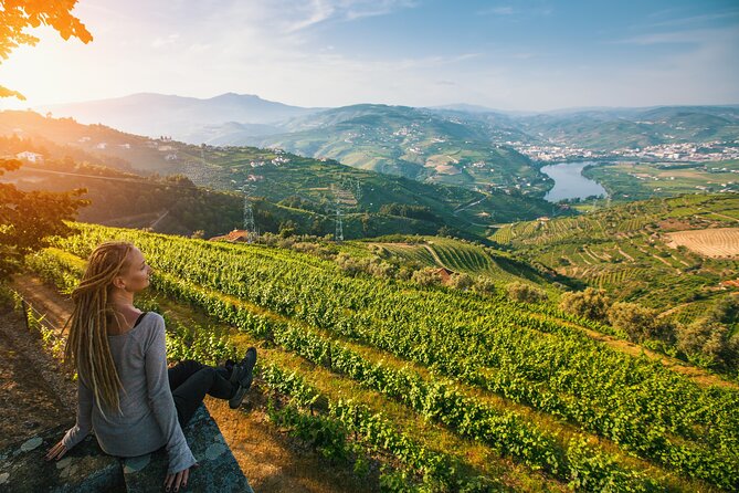 From Porto: Private Douro Valley Tour - Lunch and Final Highlights