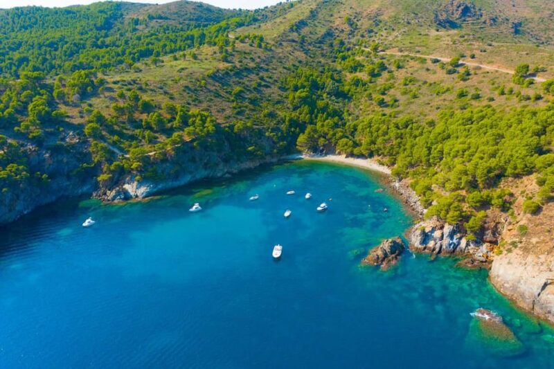 From Roses:Adventure in Cap de Creus: Discover and Swim in a Wild Cove - Who Should Consider This Tour?