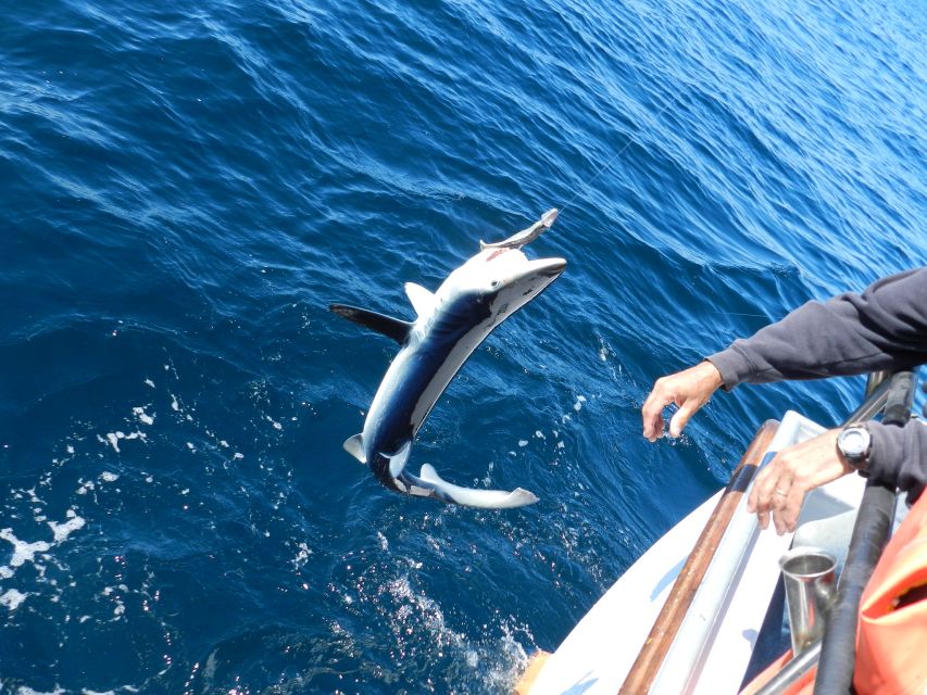 From San Leone: Private Bluefin Tuna Fishing Experience - Practical Details and Tips