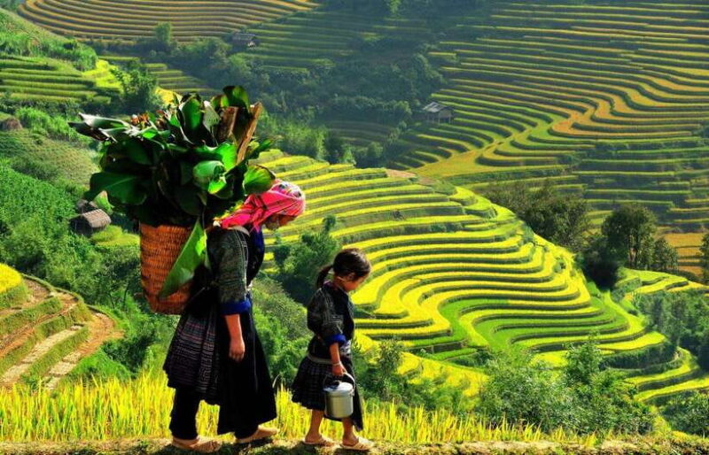 From Sapa: Bac Ha Sunday Market and Ethnic Villages Tour - Authentic Experiences and Considerations