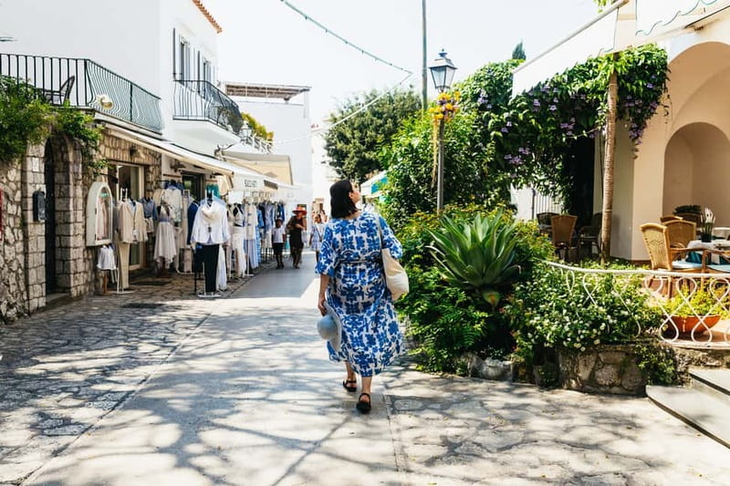 From Sorrento/Nerano: Capri Island Cruise with Guide Onboard - Who Would Love This Tour?