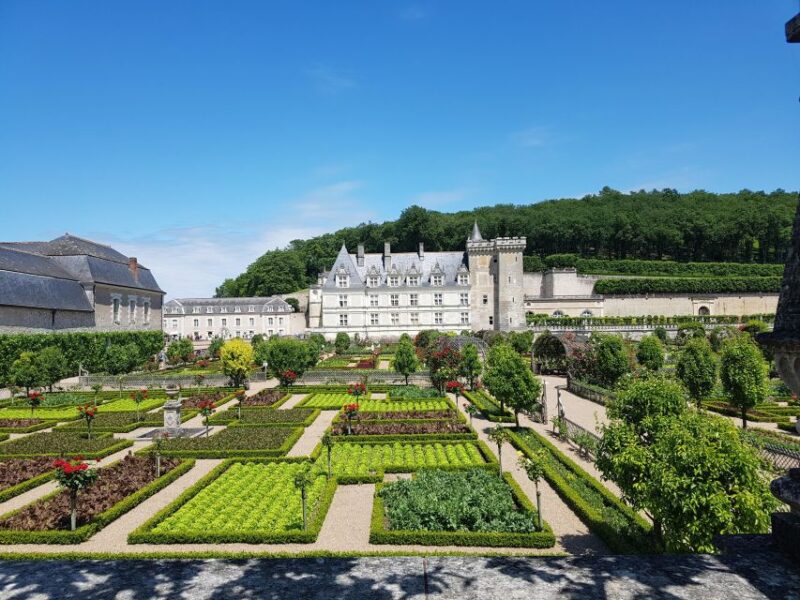 From Tours: Afternoon Loire Valley Wine Tour to Vouvray - Who Will Love This Tour?