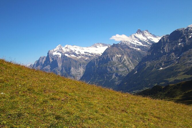 From Zurich to Top of Europe Jungfraujoch private tour - Transportation Details: Comfort and Flexibility