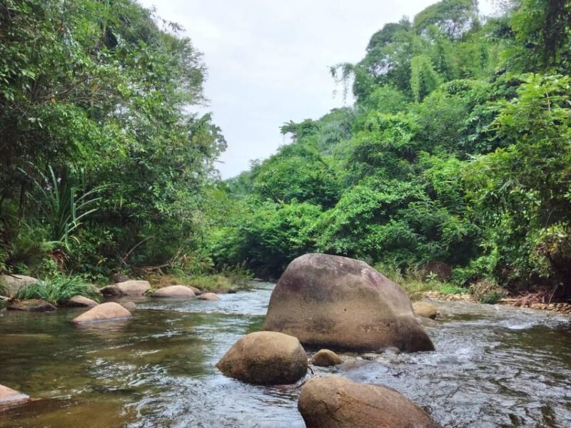 Full-Day ATV Khaolak Adventure with local Support - Who Will Appreciate This Tour?