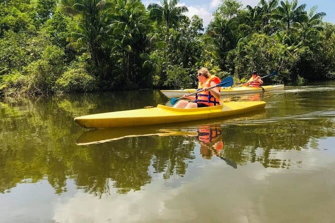 Full day Phu Quoc Discovery 4 Island with Cable Car Tour - The Highlight: Hon Thom Island and the Cable Car