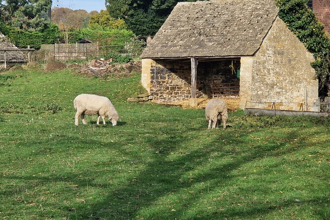 Full Day Tour in the Cotswolds with Transportation Included. - FAQ