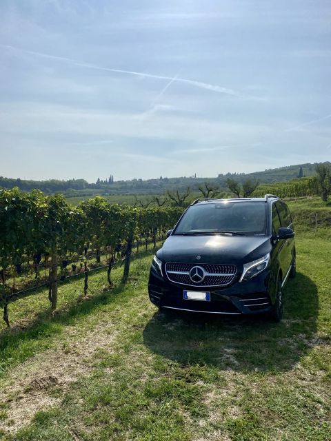 Full day tour of Ferrari,Parmesan,Vinegar, Lambrusco w/Lunch - Final Thoughts