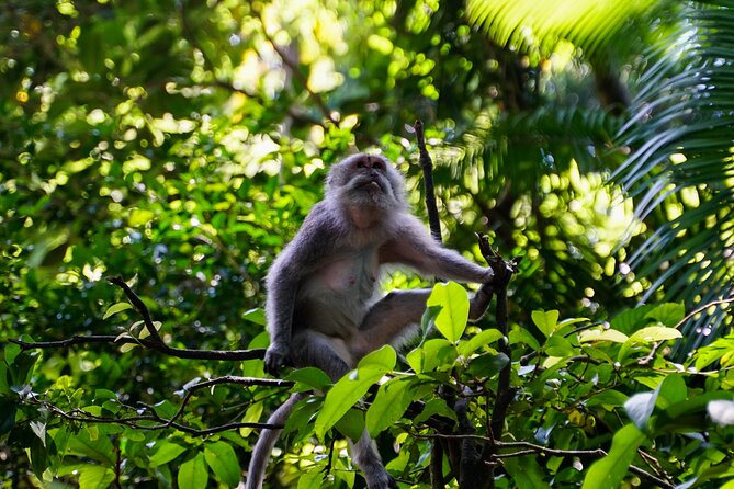 Full Day  Ubud Art Village and Mount Batur Kintamani with Lunch - Final Thoughts
