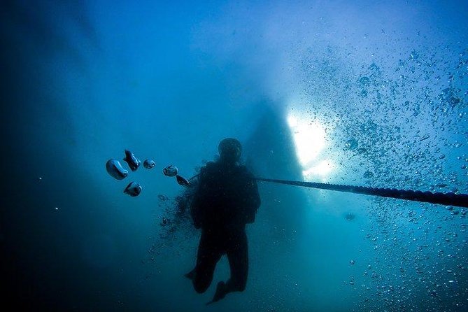 Fun Dives For Certified Divers - The Sum Up: Who Will Love This Experience?