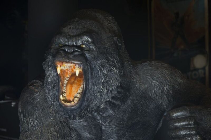 Genoa: FantaCinema Museum Entry Ticket - FAQ