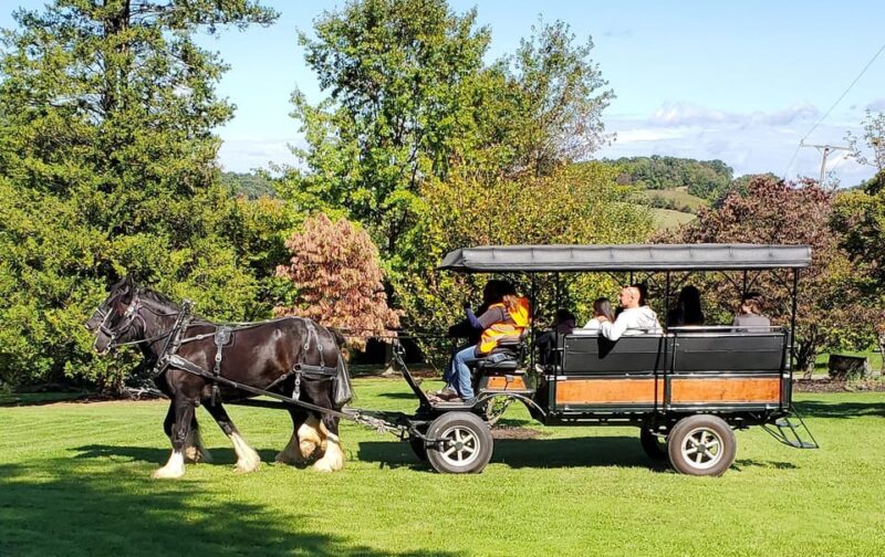 Gettysburg: Horse-Drawn Carriage Tour Countryside & Orchards - The Practicalities
