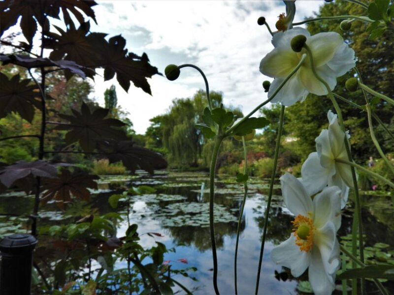 Giverny: Monets House and Gardens Skip-the-Line Tour - Why This Tour Works Well