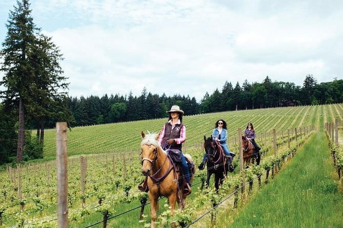 Grape Stomping Experience and Wine Tasting - Practical Tips for Participants