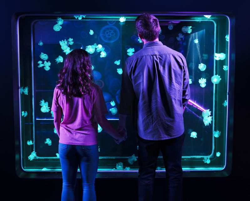 Grapevine: SEA LIFE Grapevine Aquarium General Admission - FAQs