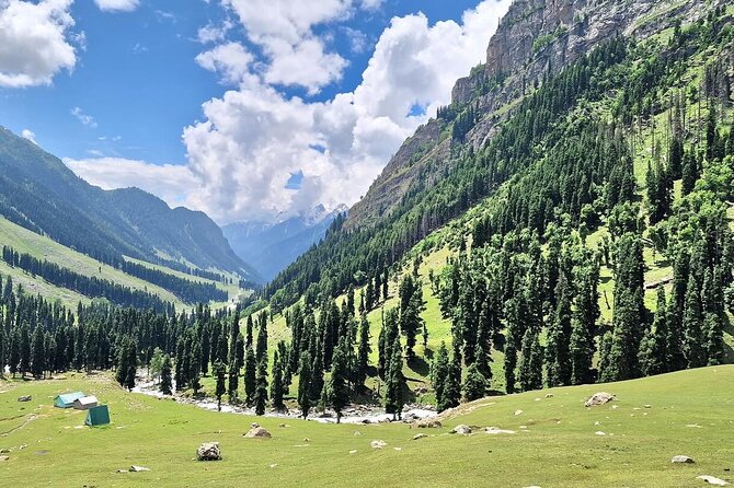 Group Kashmir Deluxe Tour & Tailored Ex Srinagar - The Sum Up