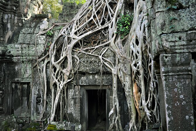 Guided Private A/C vehicle Tour Angkor Wat and Small Circle and Five Extras - Final Thoughts