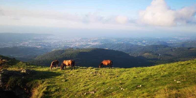 Guided tour of the 5 most beautiful towns in Basque Country - Final Thoughts: Is This Tour Right for You?