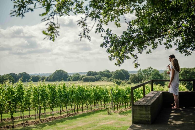 Gusbourne Wine Tasting 11am - The Sum Up