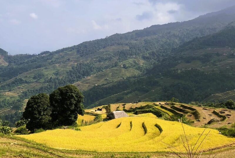 Ha Giang: 3-Day Loop Tour Self-Driving (from Ha Noi or Sapa) - Practical Considerations