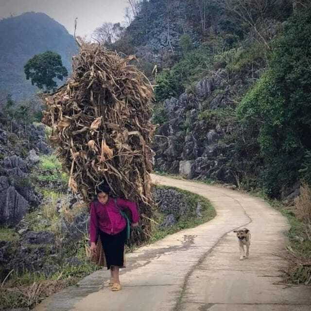 Ha Giang: 5-Day Loop Tour with Motorbike - Logistics and Practicalities