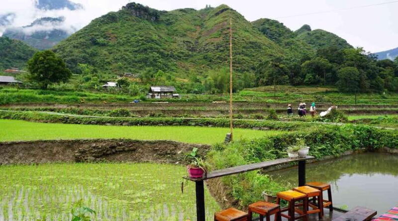 Ha Giang Loop 2 Day 1 Night Motorbike Tour with Easy Rider - The Scenic and Cultural Highlights