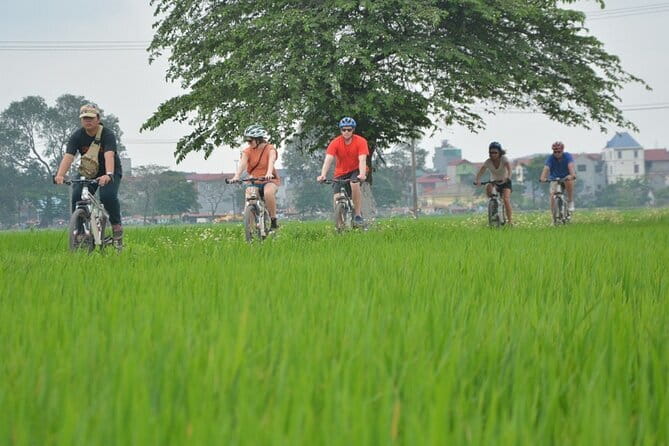 Ha Giang loop 4 days  3 nights by motorbike - Day 4: Cultural Crafts and Mountain Passes