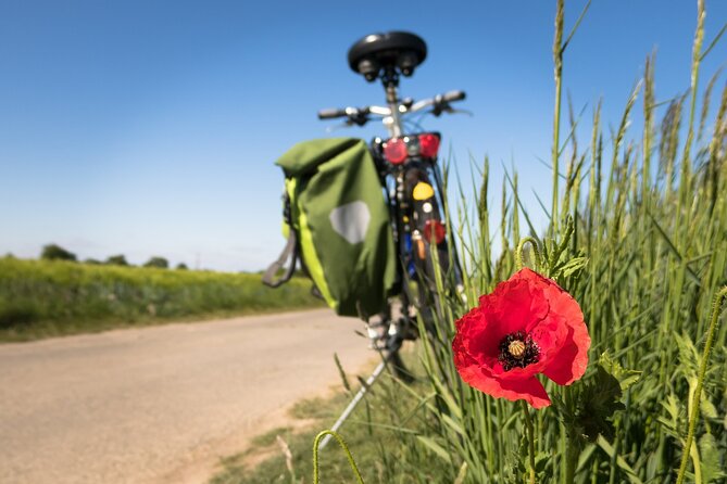 Half-day Hoi An Countryside Bike Tour - The Sum Up: A Genuine Look at Hoi An’s Rural Charm
