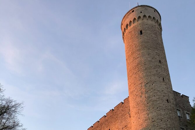 Half-Day Private Accessible City Tour in Tallinn - FAQ