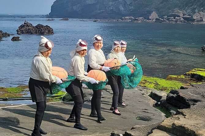 Half or Day Tour For Cruise customers arriving at Gangjeong Port - FAQ