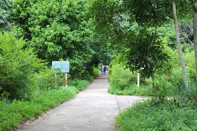 Halfday trekking Cat Ba Butterfly valley (more intense) - The Sum Up