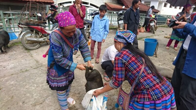 Hanoi: 2-Day Sa Pa Guided Village & Homestay Trekking Tour - The Value of the Experience