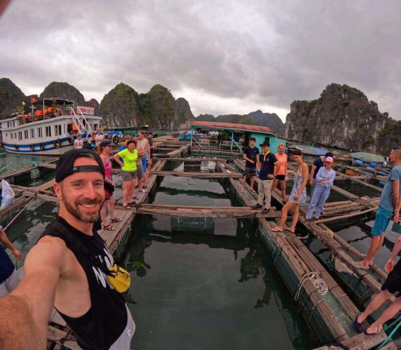 Hanoi: 3Days: Lan Ha bay: classic cruises & Ninh Binh trip - The Experience: What Travelers Say