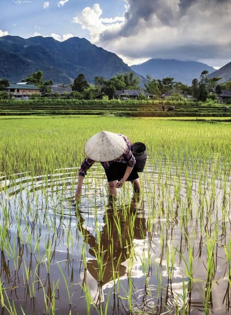 Hanoi: Hoa Lu, Tam Coc and Mua Cave Limo Bus Tour with Lunch - The Logistics and Overall Experience