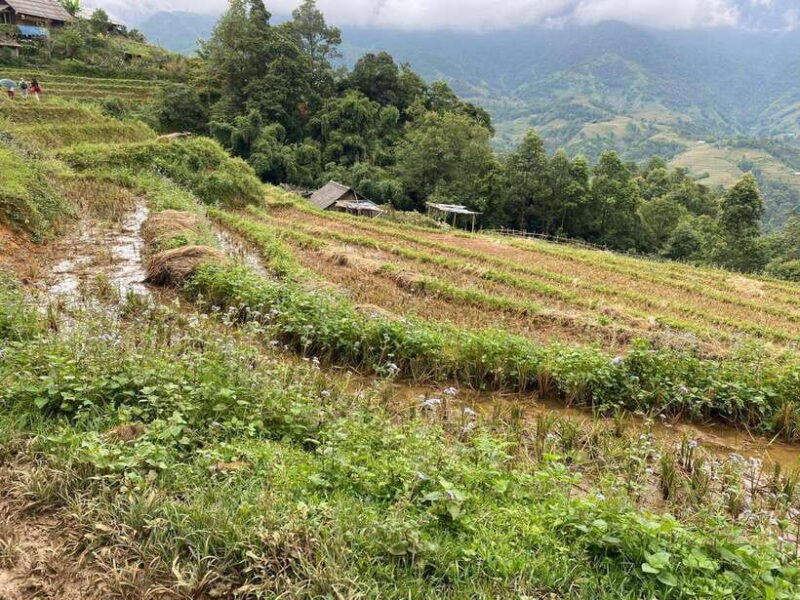 Hanoi: Sapa Highlights 2-Day Trekking Tour - Final Words