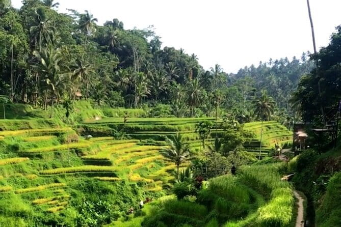 Heaven Gate, Tirtagangga and Tukad Cepung Waterfall - All Inclusive - The Spectacle at Tukad Cepung Waterfall