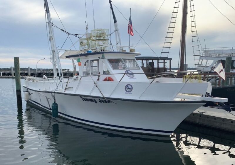 Hilton Head Island: Shrimp Trawling Boat Tour - Who Will Love This Tour?