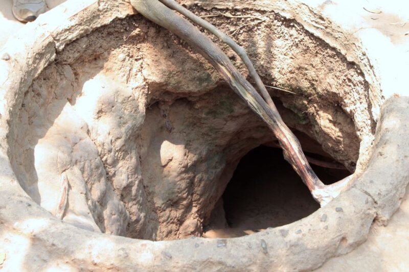 Ho Chi Minh City: Cu Chi Tunnels Tour - In The Sum Up